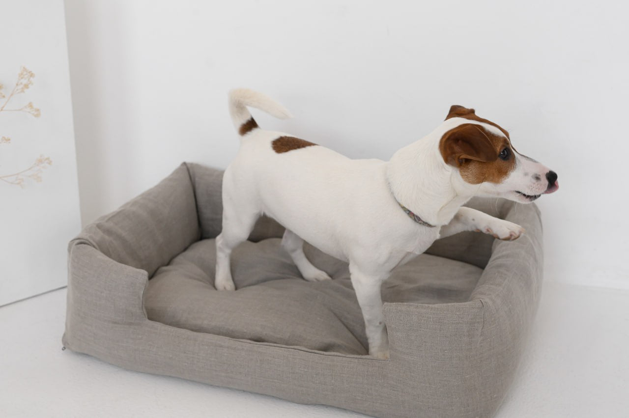Elevating Pet Comfort and Sustainability: The Benefits of Hemp Pet Bed ...